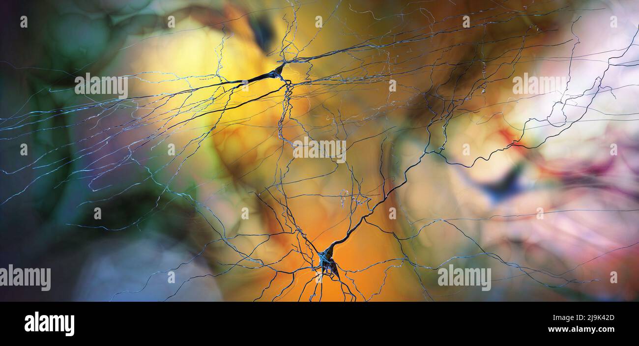 Connexions Synapse Structure Qui Permet à Un Neurone Ou à Une Cellule