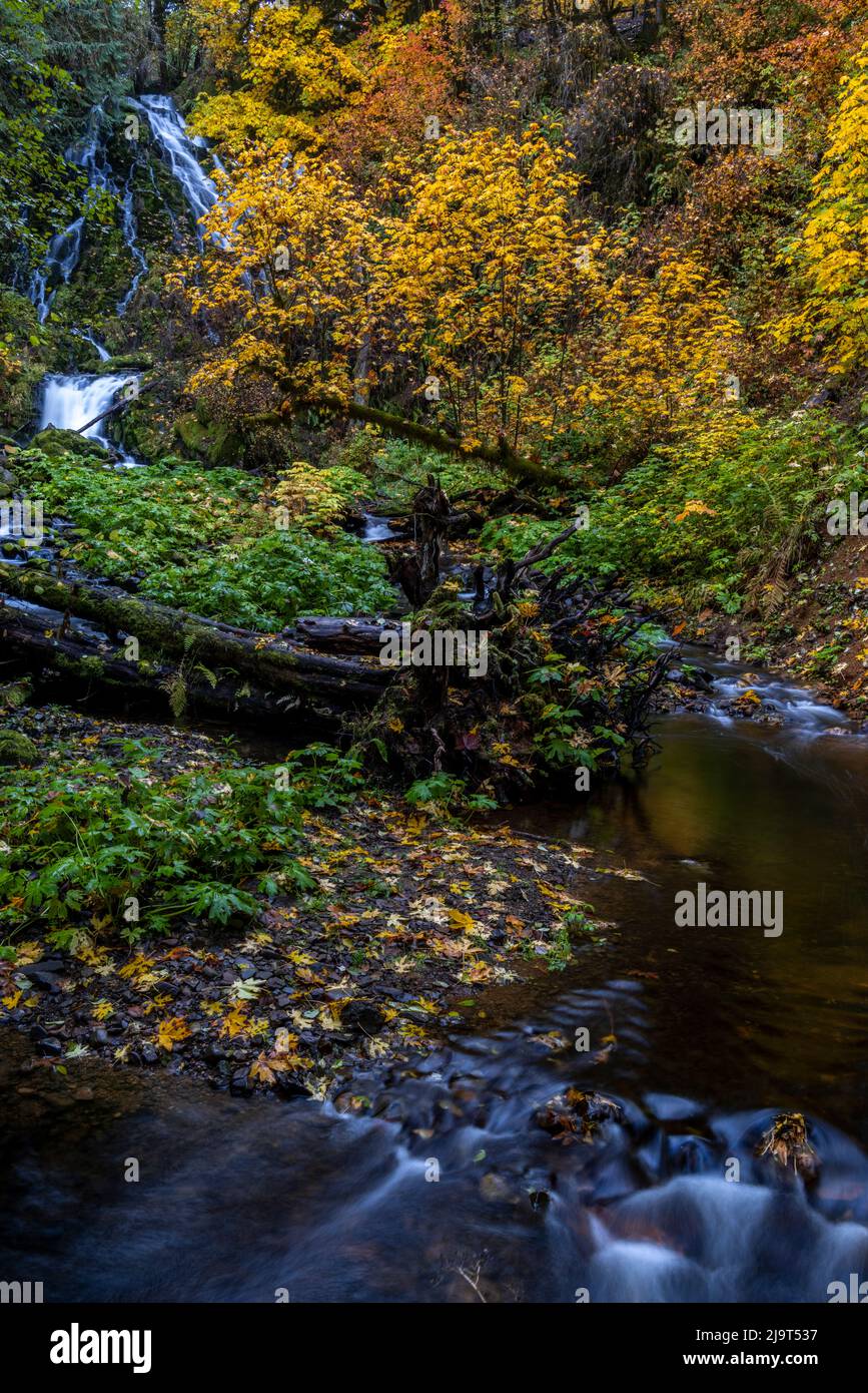 Fishhawk falls Banque de photographies et d’images à haute résolution ...