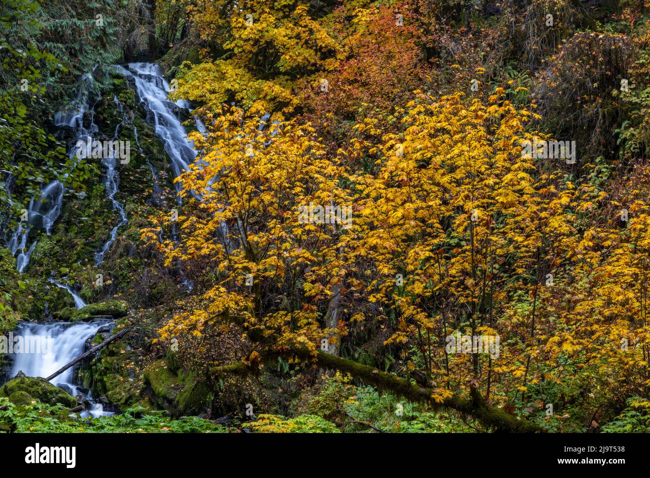 Fishhawk falls Banque de photographies et d’images à haute résolution ...