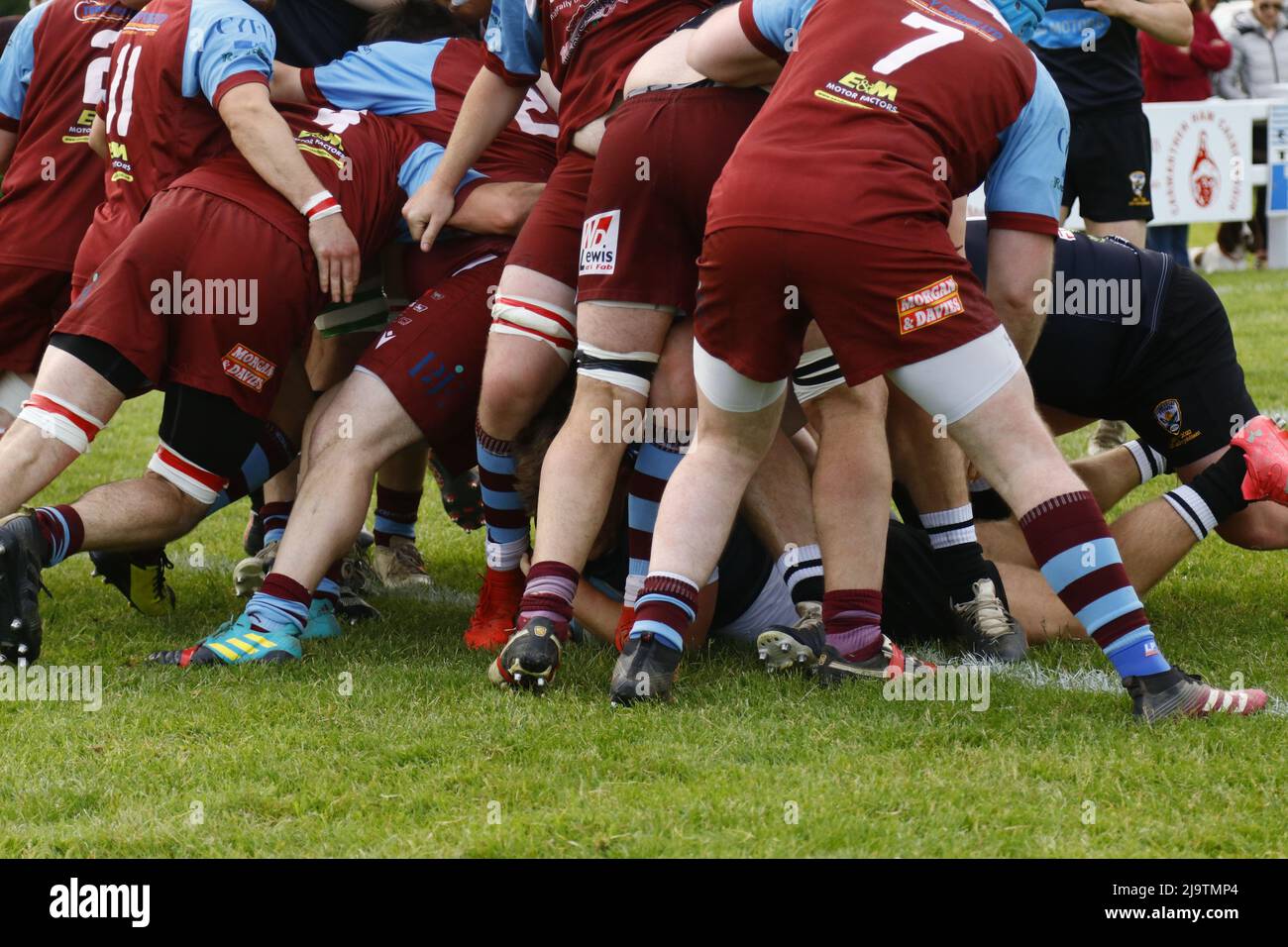 Lampeter rfc Banque de photographies et d’images à haute résolution - Alamy