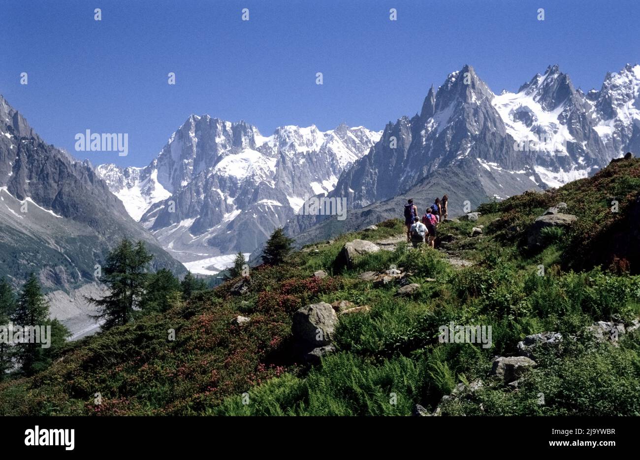 Sur le sentier de randonnée longue distance « Tour du Mont blanc ...