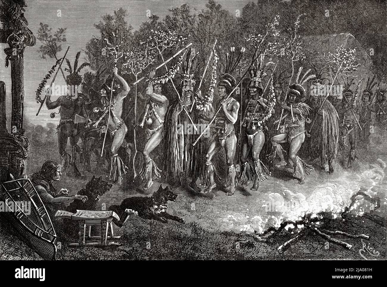 Parc amazonien de guyane Banque de photographies et d’images à haute ...