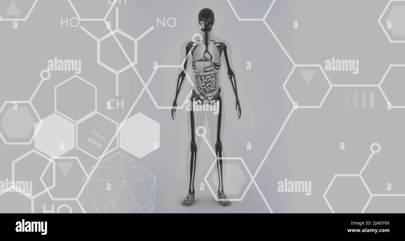 Image des formules chimiques sur le modèle de corps humain Photo Stock ...