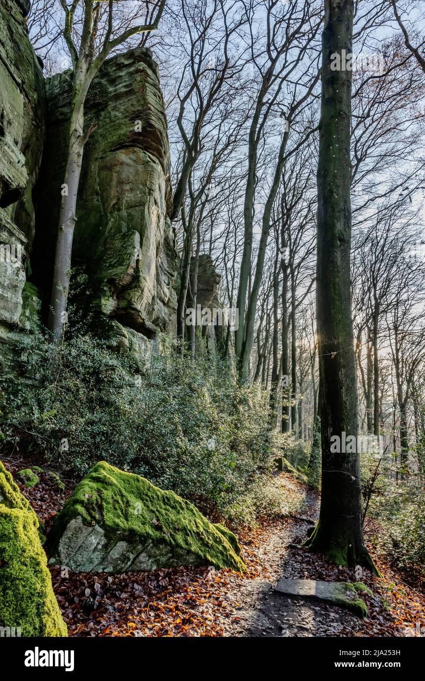 Sentier Mullerthal, sentier de randonnée à travers le paysage rocheux ...