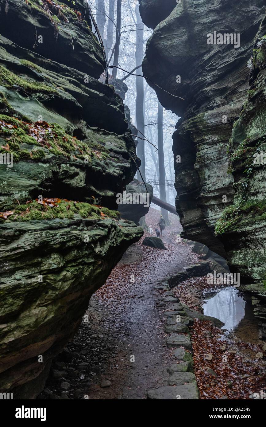 Randonnée avec chiens sur le sentier Mullerthal, sentier de randonnée à ...