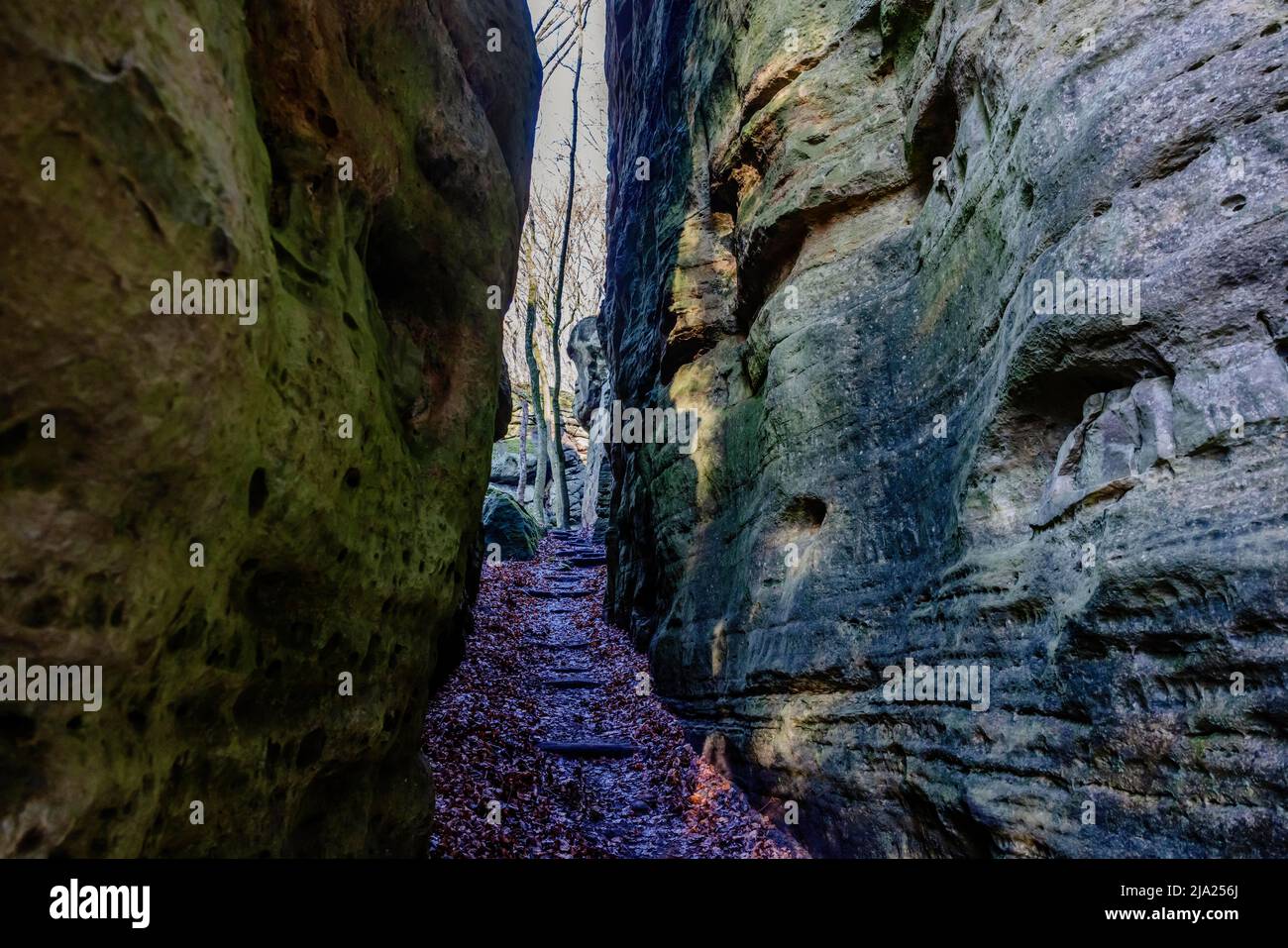Sentier Mullerthal, sentier de randonnée à travers le paysage rocheux ...