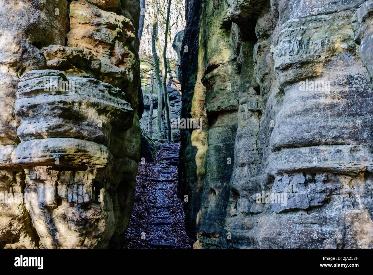 Sentier Mullerthal, sentier de randonnée à travers le paysage rocheux ...
