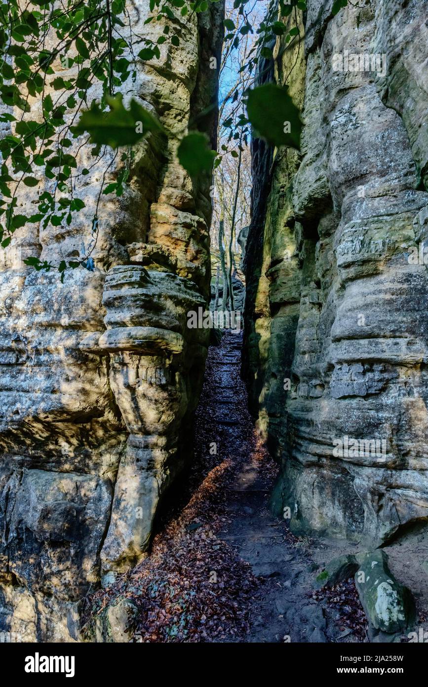 Sentier Mullerthal, sentier de randonnée à travers le paysage rocheux ...