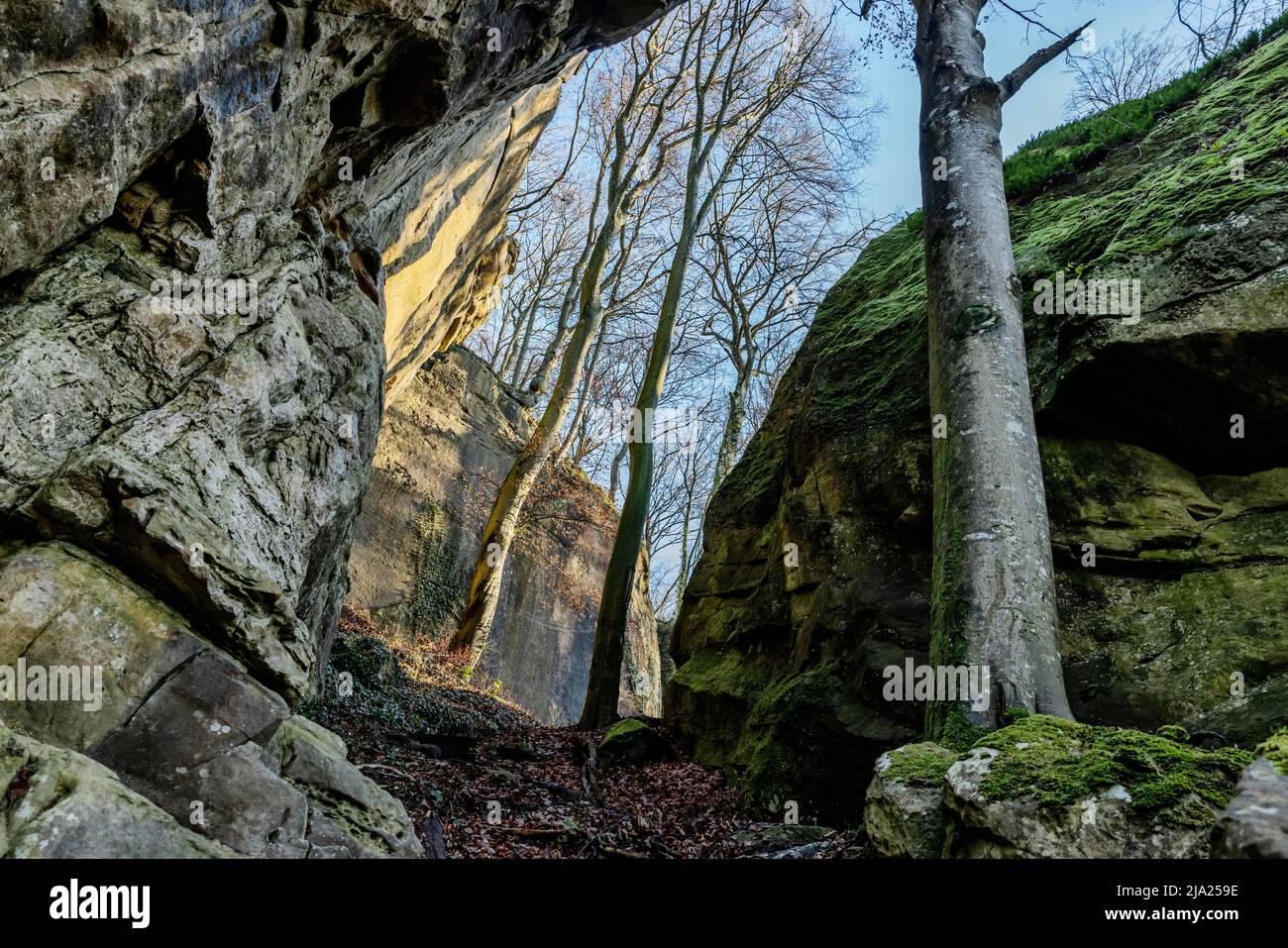 Sentier Mullerthal, sentier de randonnée à travers le paysage rocheux ...