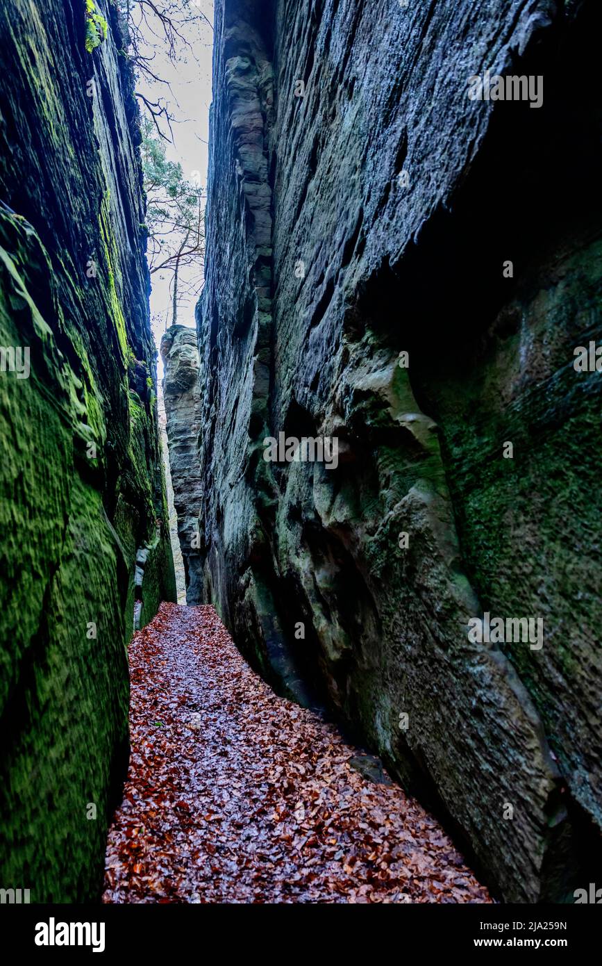 Sentier Mullerthal, sentier de randonnée à travers le paysage rocheux ...