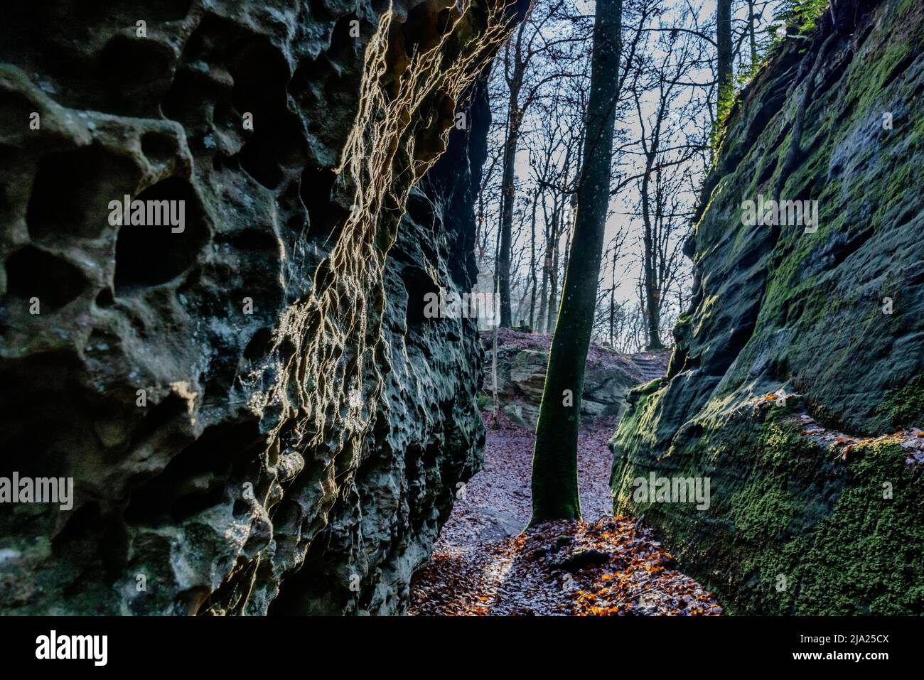 Sentier Mullerthal, sentier de randonnée à travers le paysage rocheux ...
