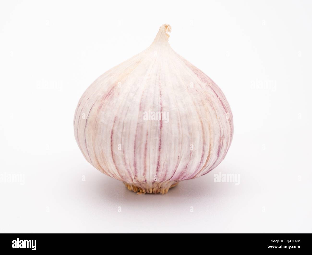 Ail sur fond blanc Banque de photographies et d’images à haute ...