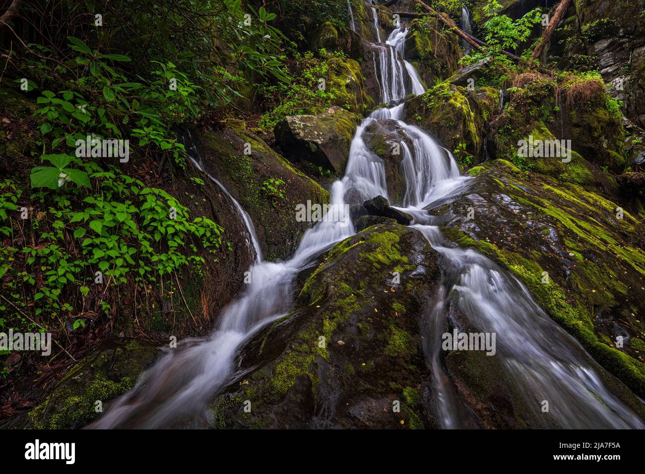 Mille gouttes Banque de photographies et d’images à haute résolution ...