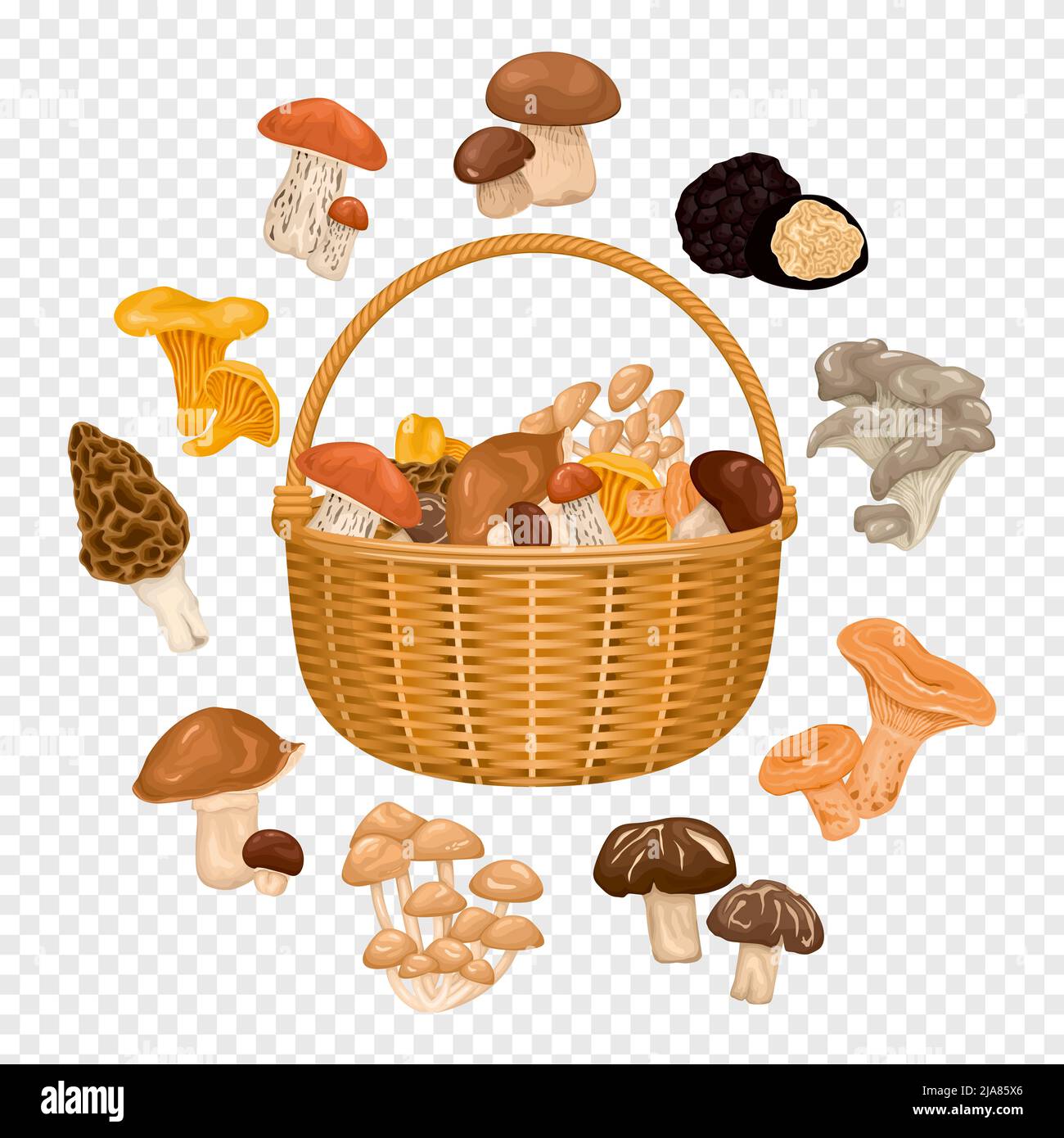 Panier avec champignons de forêt comestibles de couleur composition ...