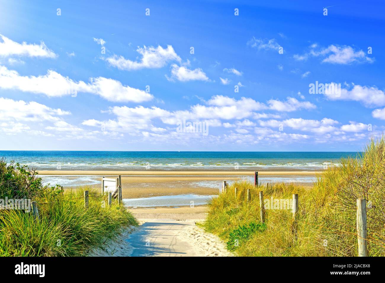 Paysage de dunes mer du nord Banque de photographies et d’images à ...