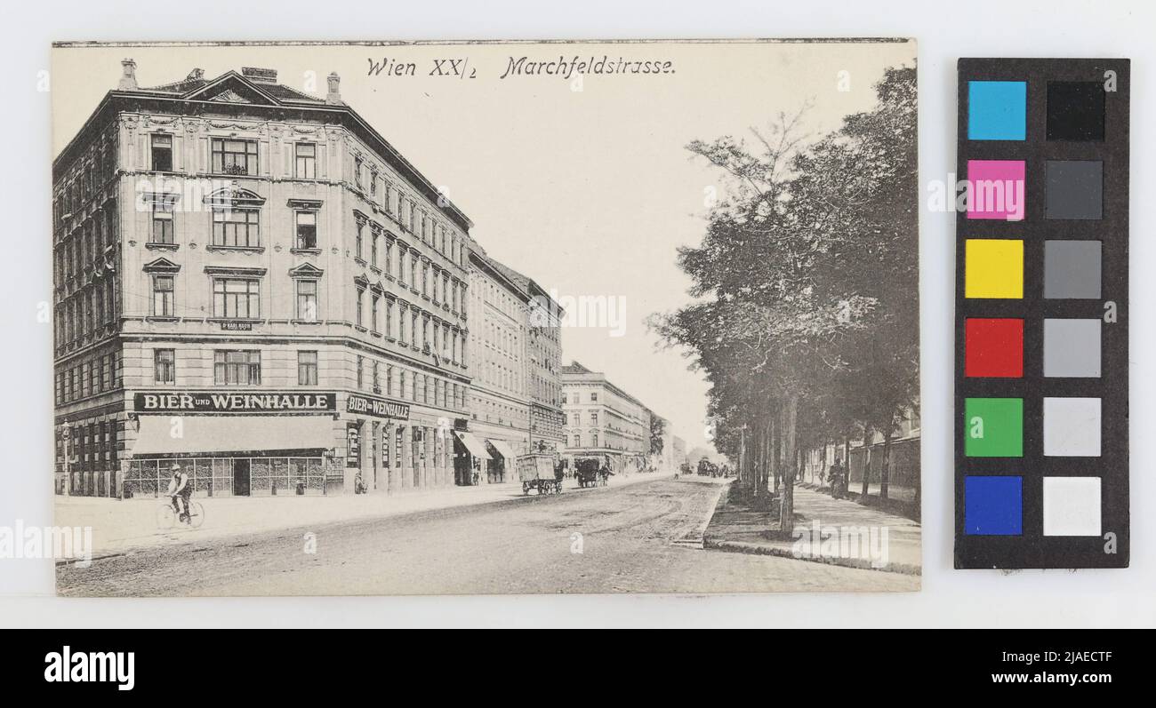 Otto chiger Banque de photographies et d’images à haute résolution - Alamy