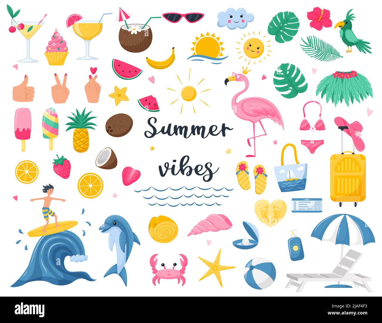Coconut Crab Banque Dimages Vectorielles Alamy