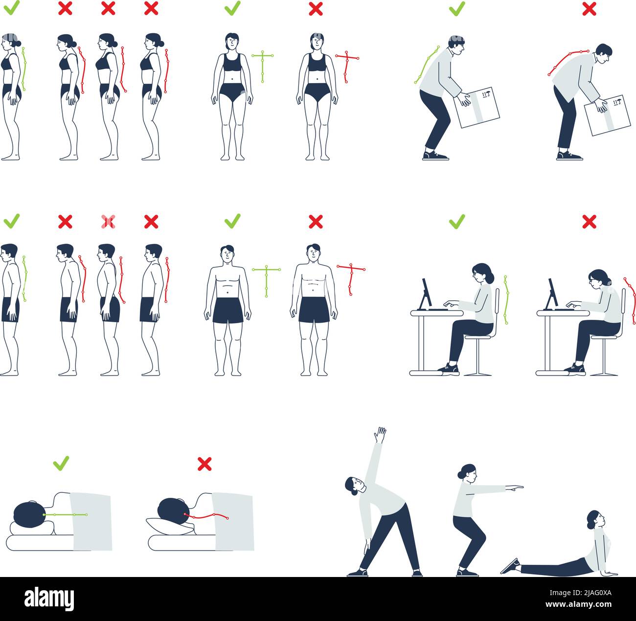 Positions correctes. Infographies de posture, physiothérapie et bon ...