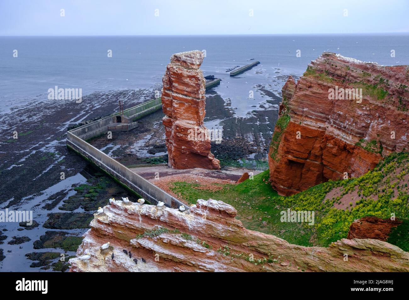 Falaises de grès rouge de l'île allemande de Helgoland en mer du Nord ...