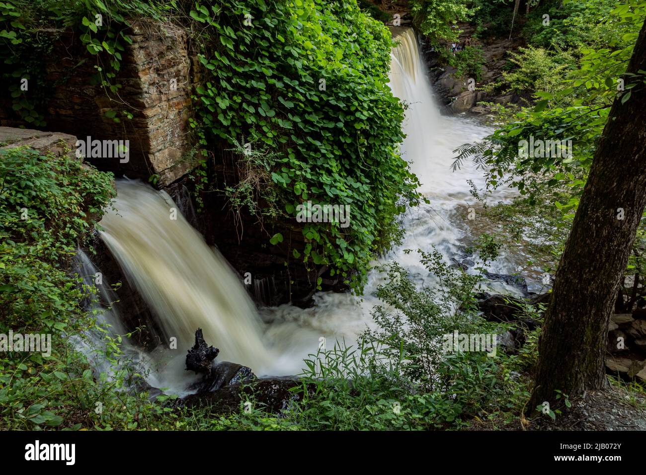 Parc du vieux moulin de vickery creek Banque de photographies et d ...