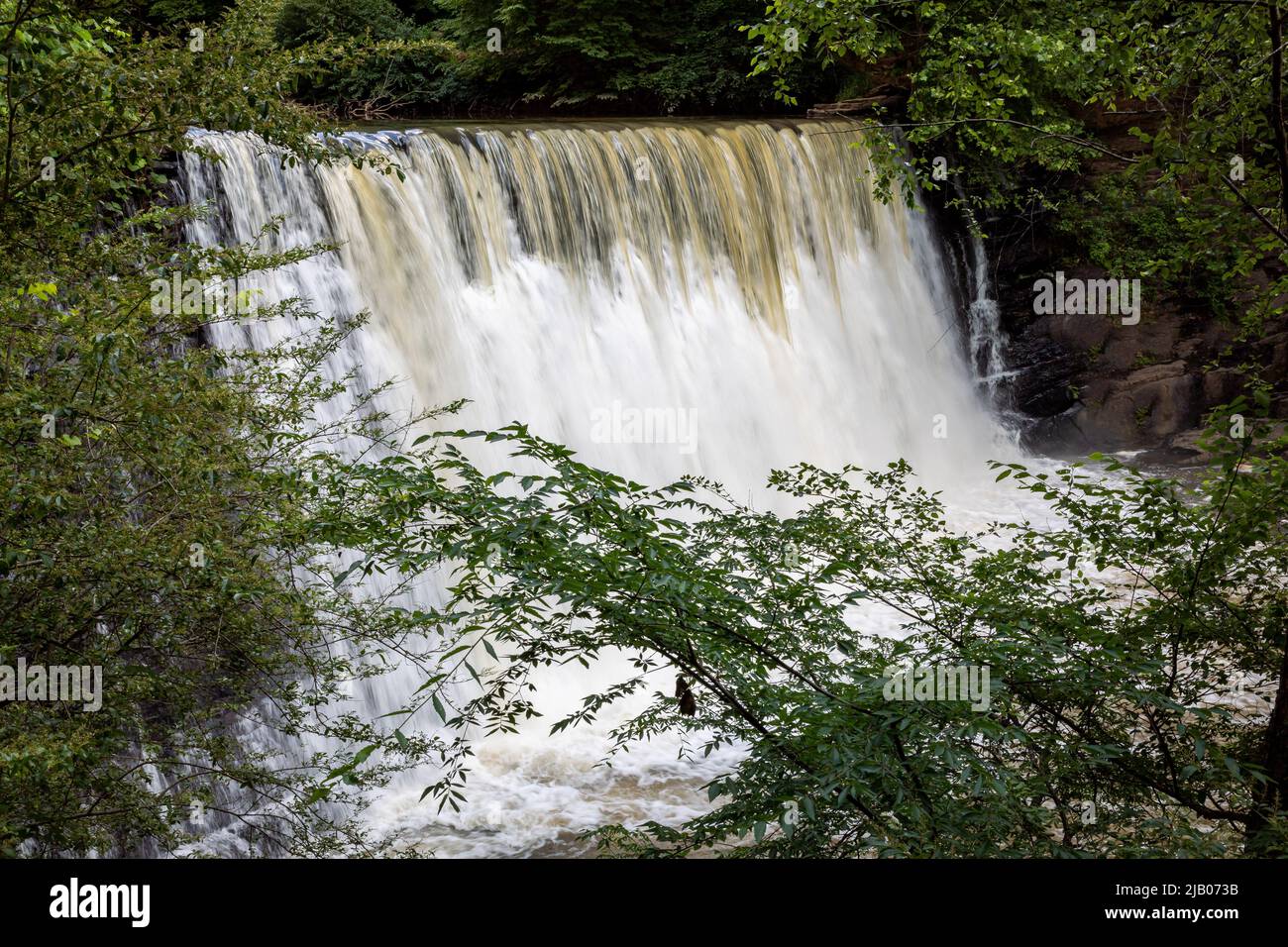Parc du vieux moulin de vickery creek Banque de photographies et d ...