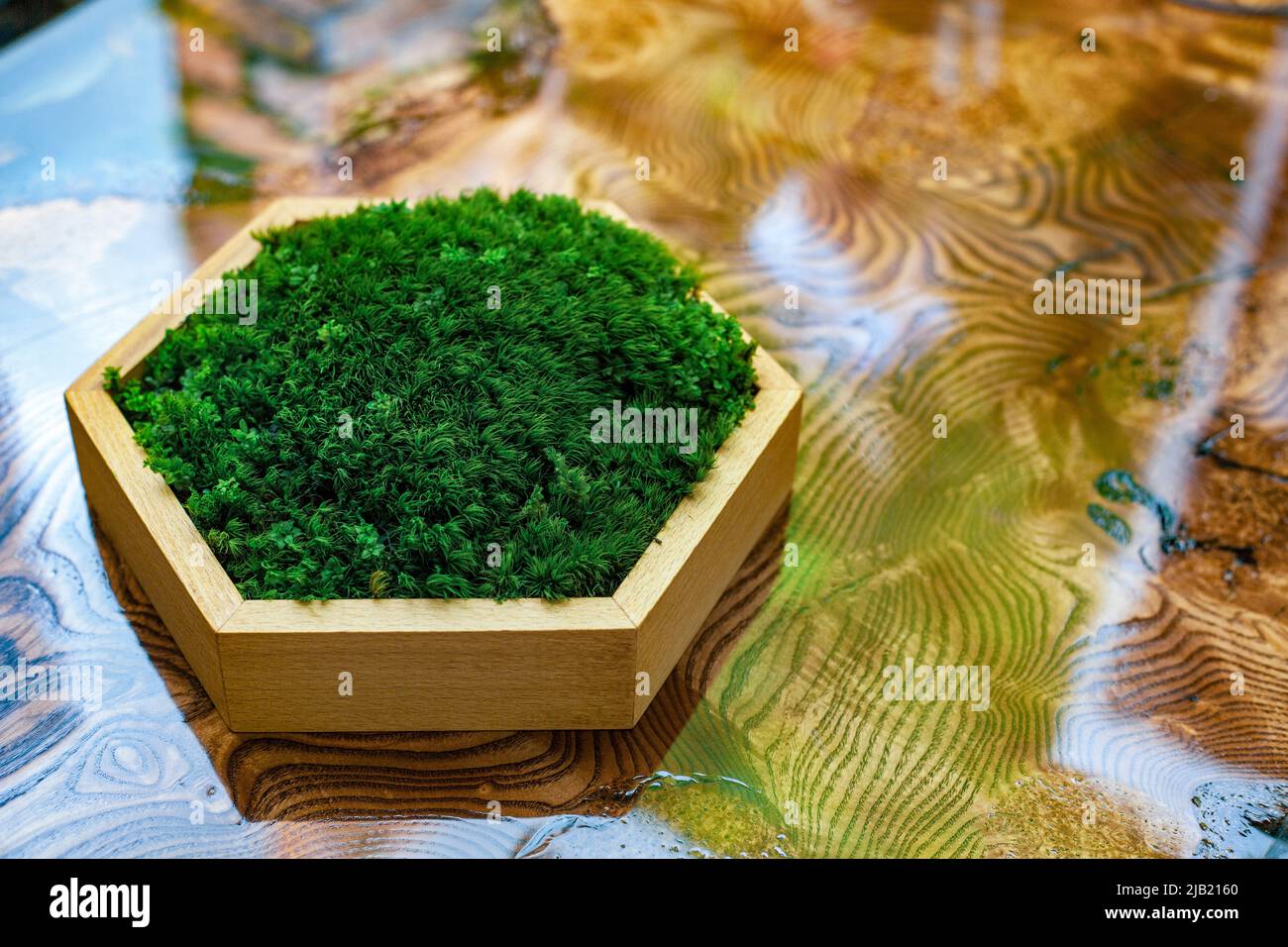 La mousse stabilisée dans une boîte hexagonale en bois se tient sur une ...