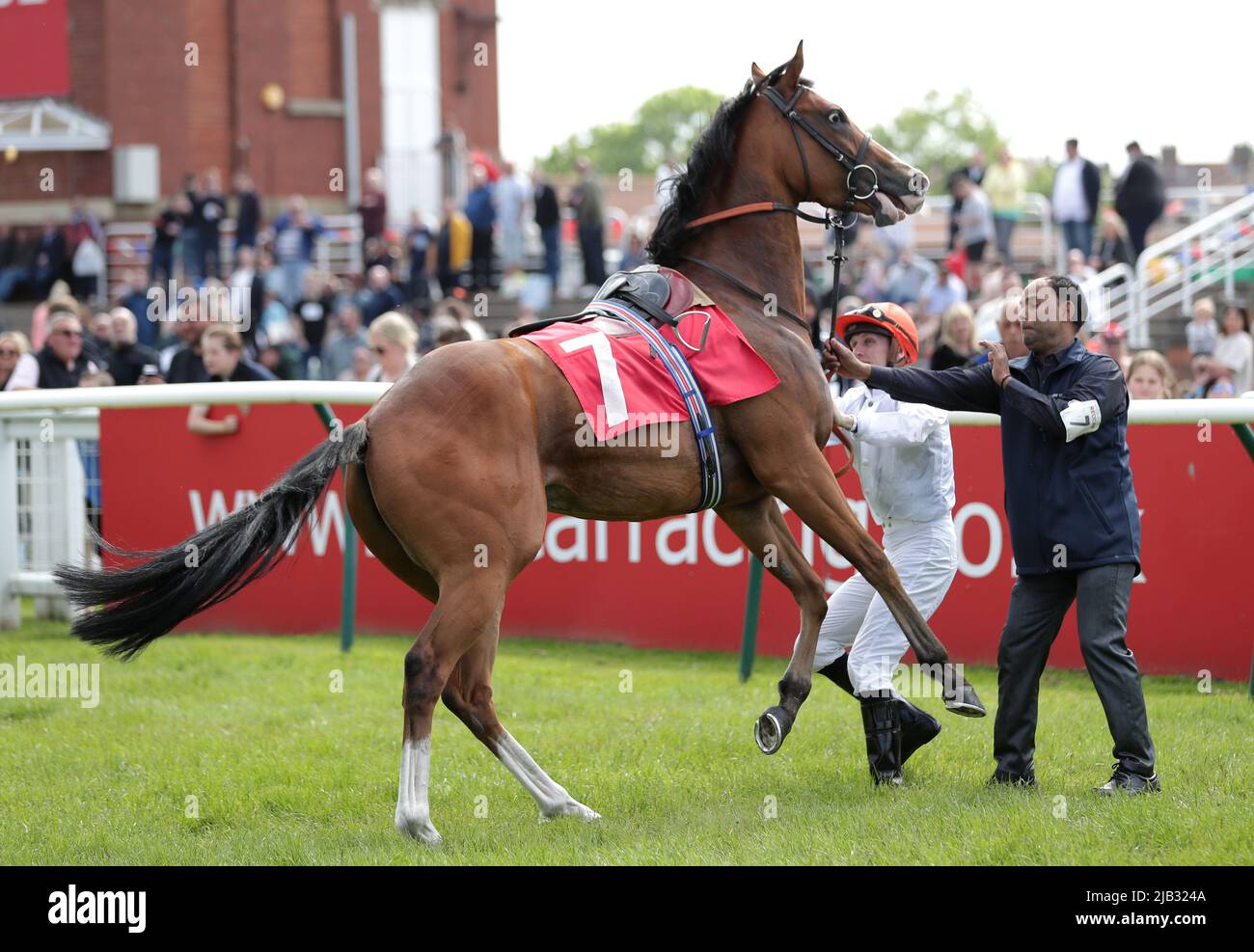 Sean Davis lutte avec Jazzy Princess dans le handicap de Jacks Coaches ...