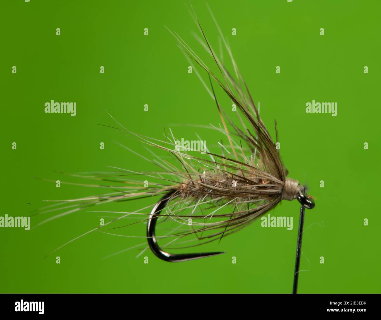 Mouche pour la pêche à la truite, préparé pour la capture de poissons ...