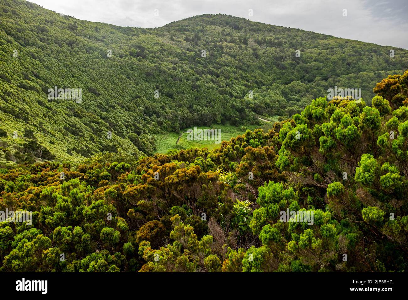 Anga de Heroismo, île de Terceira, Açores, Portugal - Mai 2022: Azorean ...