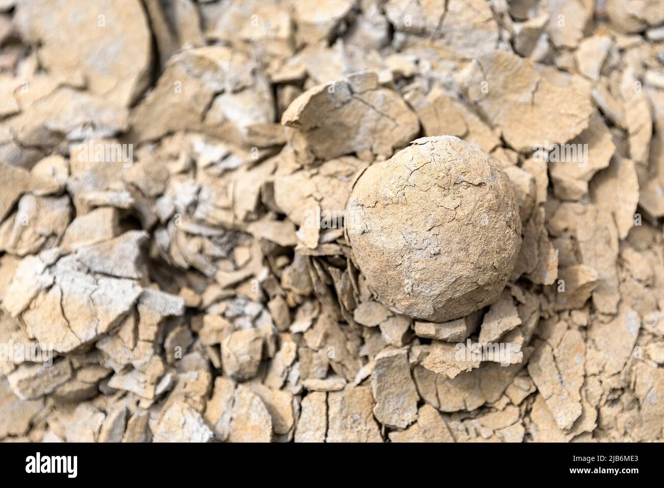 Ours gorge Banque de photographies et d’images à haute résolution - Alamy