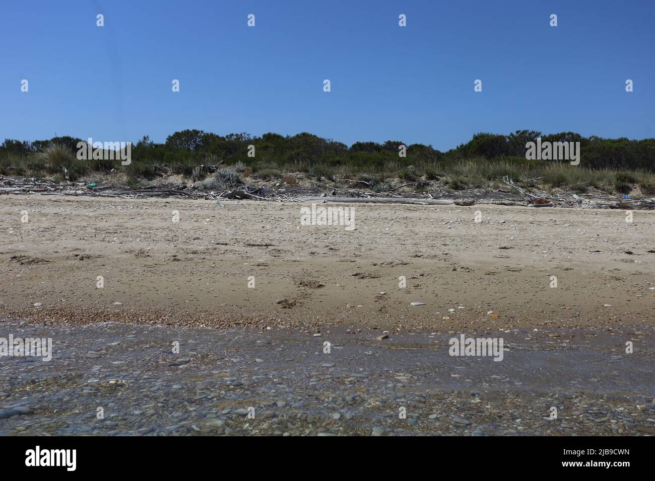 Petacciato, Italia - 3 giugno 2022: la spiaggia le dune la pineta e il ...