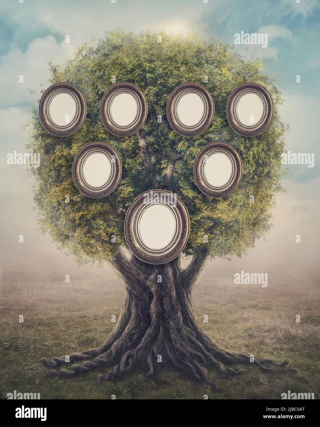 Arbre généalogique familial. Concept d'image pour vos photos Photo ...