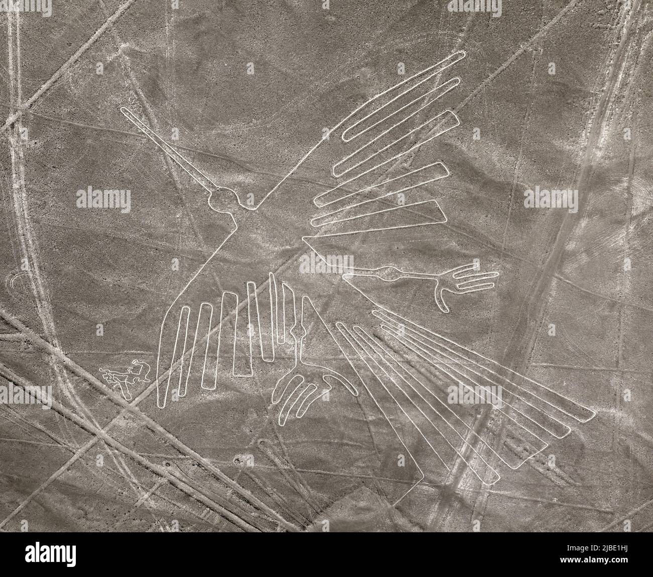 Lignes de nazca condor Banque de photographies et d’images à haute ...