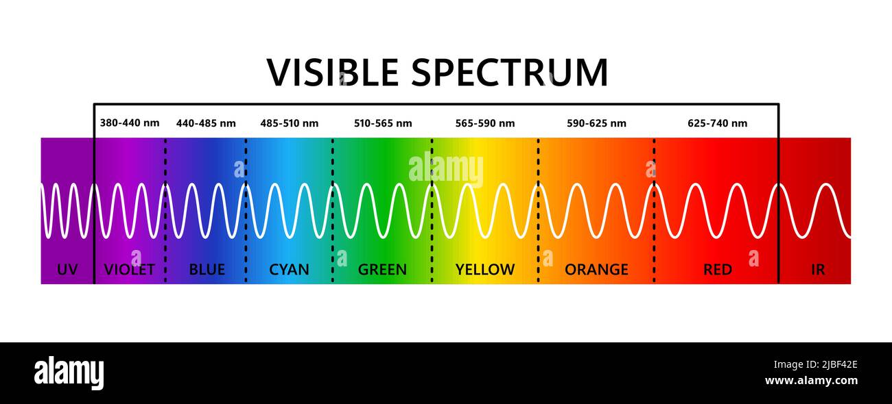 Spectre de la lumière visible, infrouge et ultraviolet. Longueur d'onde ... Spectre de la lumière visible, infrouge et ultraviolet. Longueur d'onde ...