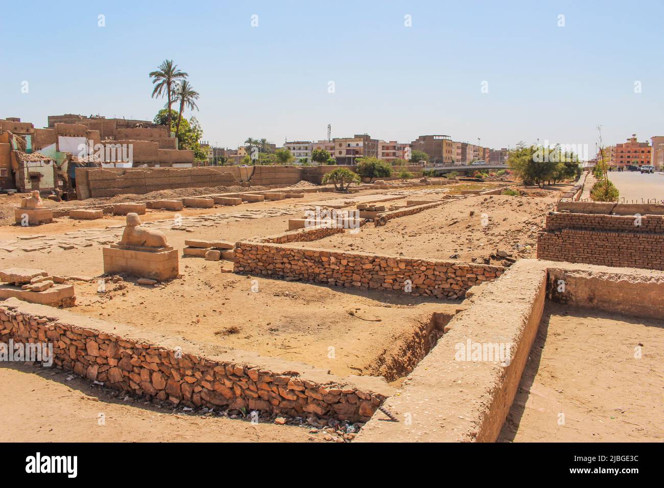 Centre-ville de Louxor, Egypte. Image des ruines avec des cactus et des ...