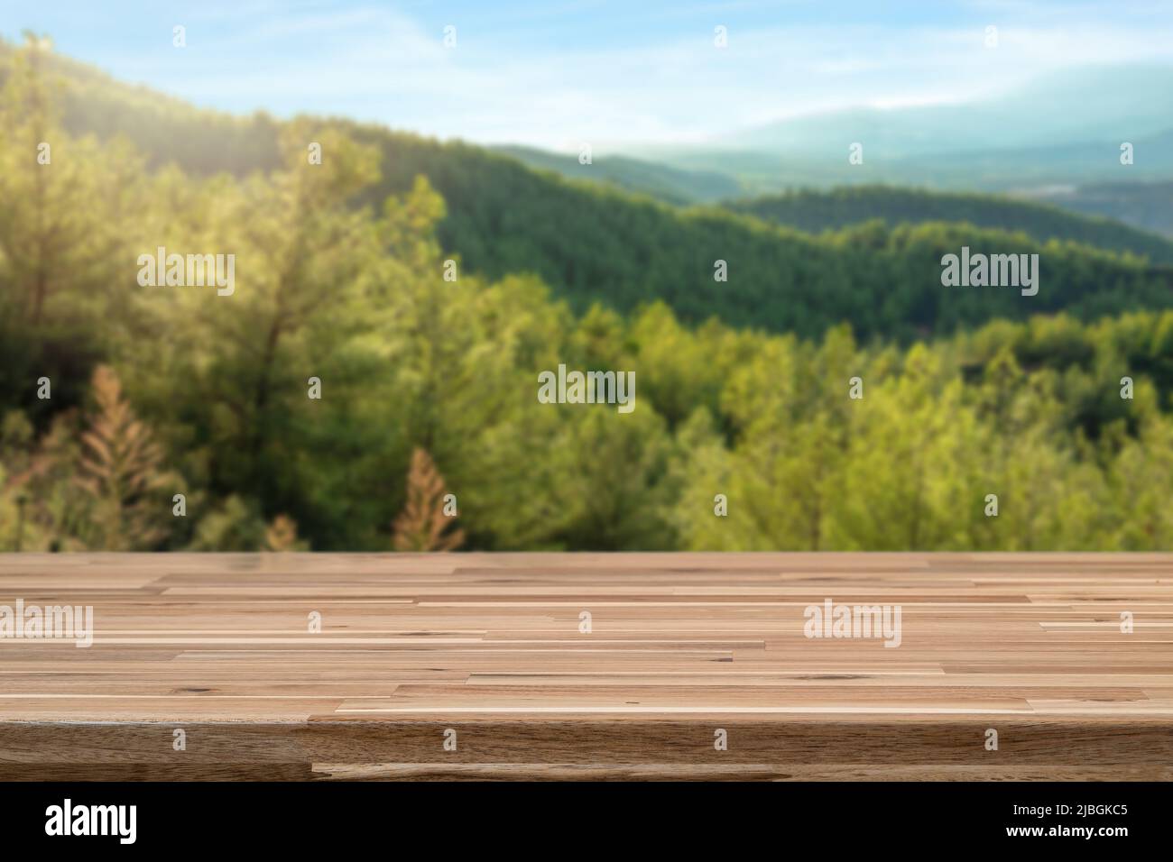 Photo en gros plan de forêt de pins flous et ciel ensoleillé sur l ...