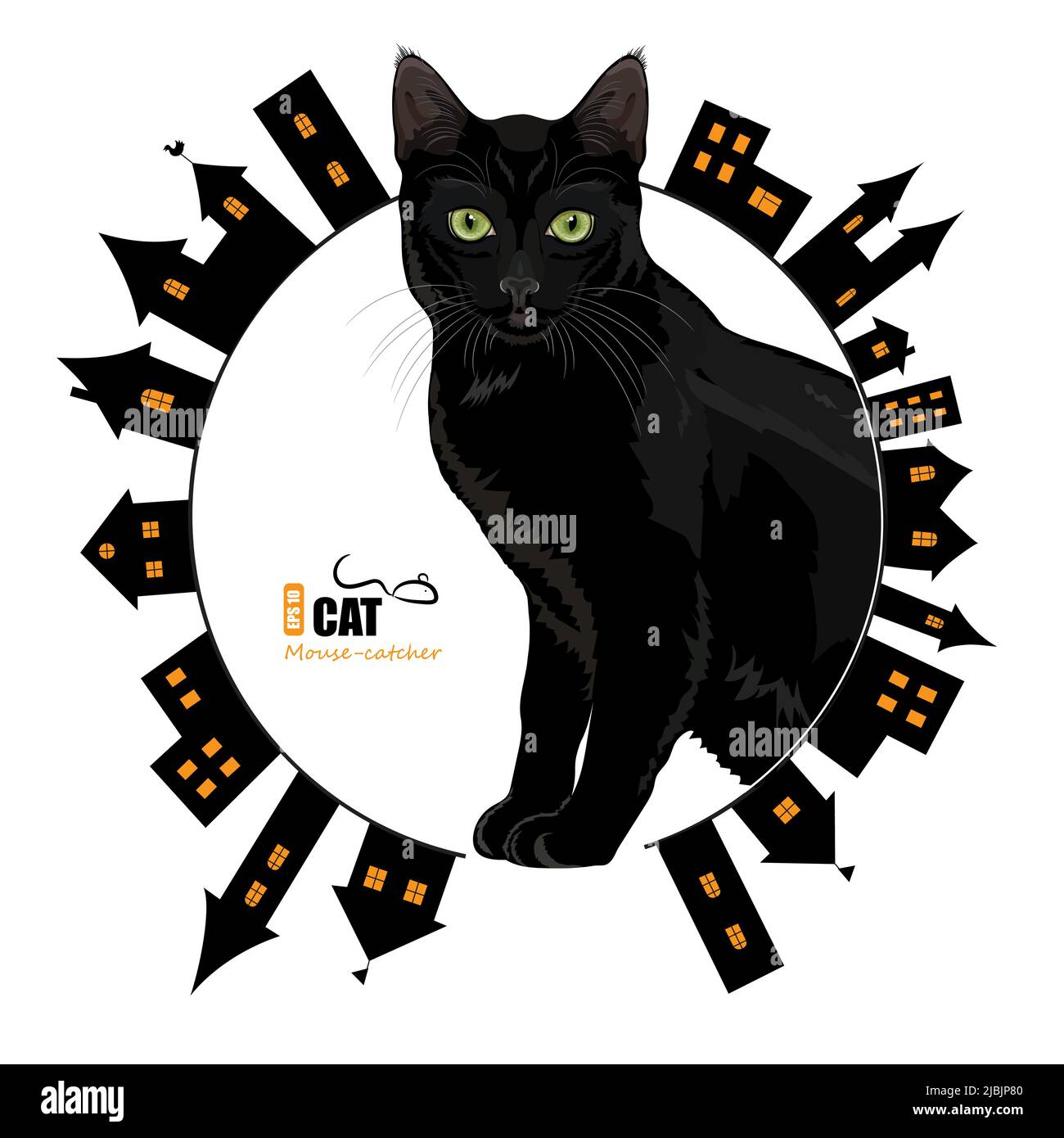 Chat assis sur fond blanc Banque d'images vectorielles - Alamy