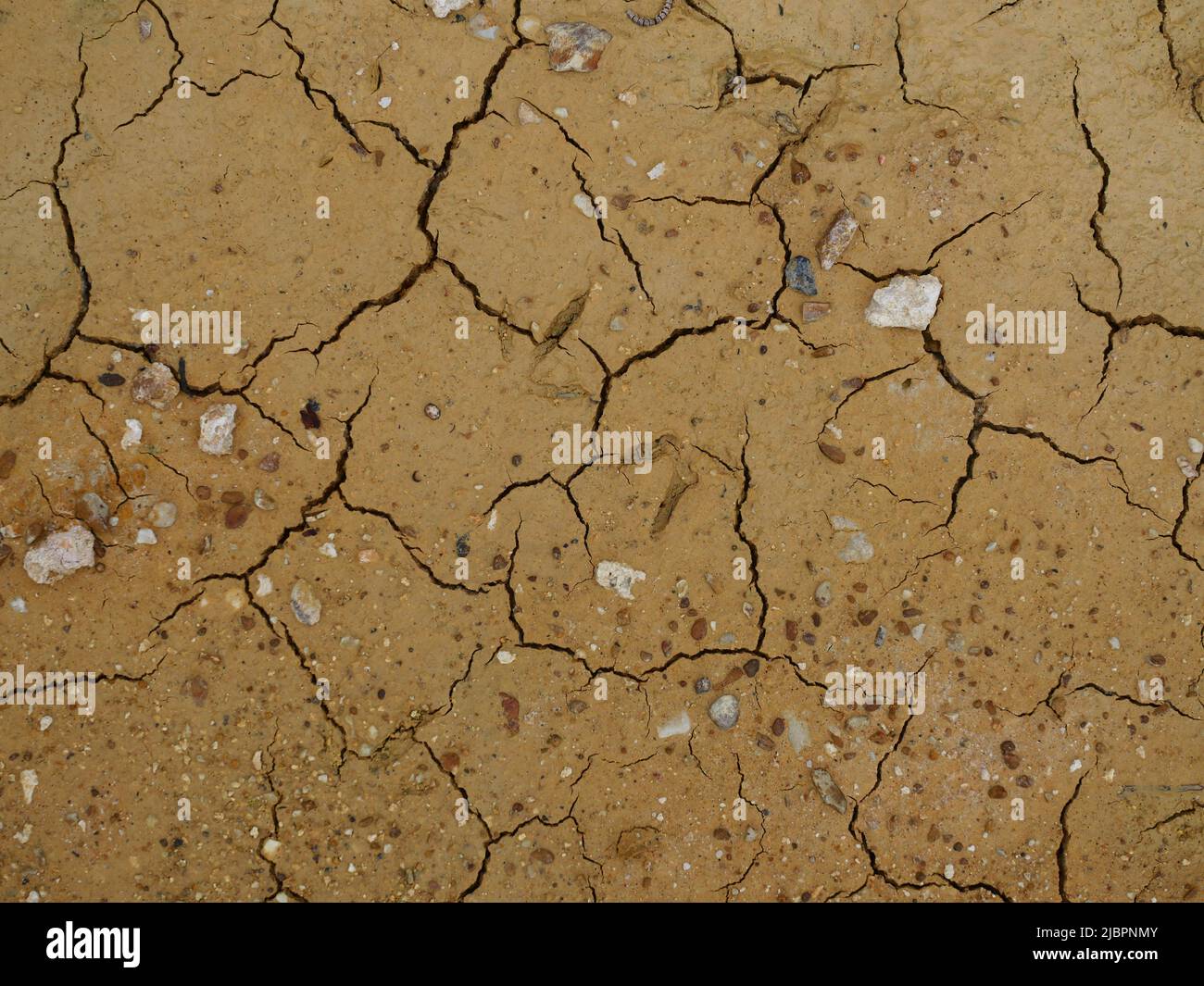 Paysage de sécheresse de la terre brûlée dramatique, concept de ...