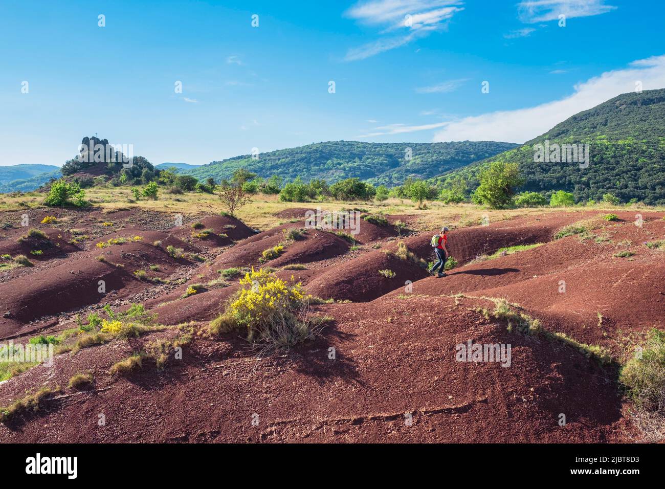 France, Hérault, Lac de Salagou, randonnée sur les rives du lac dans un ...