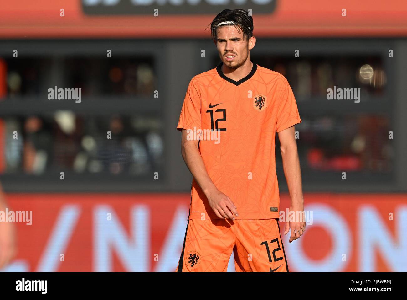 Denso kasius Banque de photographies et d’images à haute résolution - Alamy