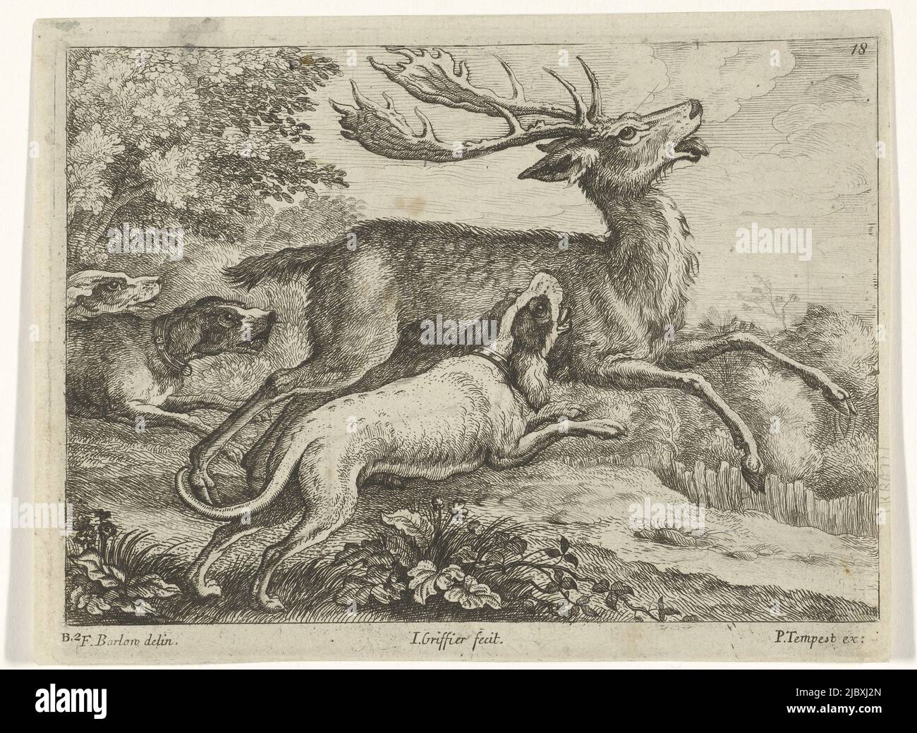 Chasses a differents animaux Banque de photographies et d’images à ...