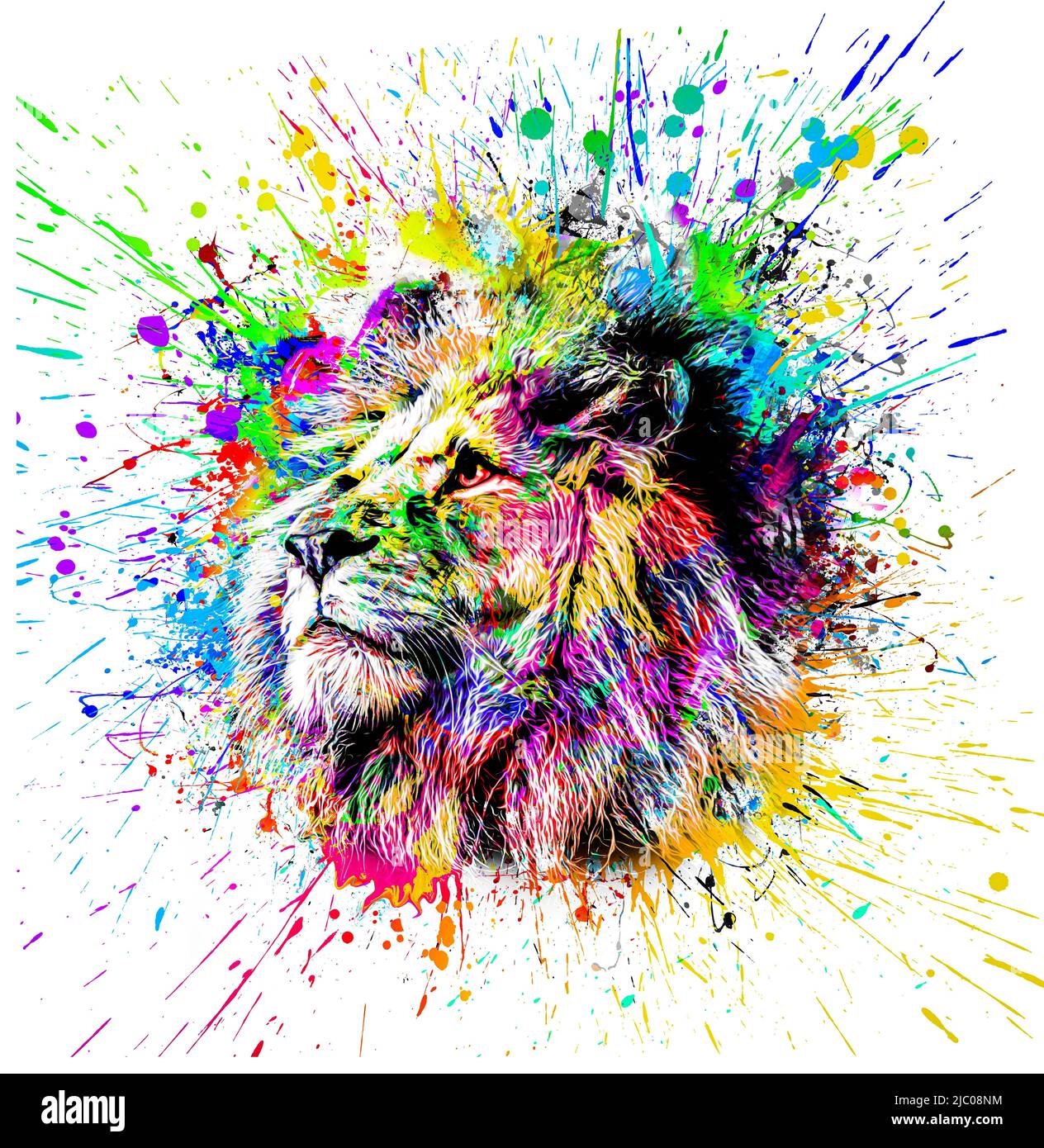 Dessin tête de lion bleu Banque de photographies et d’images à haute ...