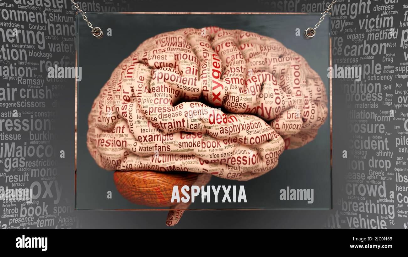 Asphyxie dans le cerveau humain - des dizaines de termes importants ...