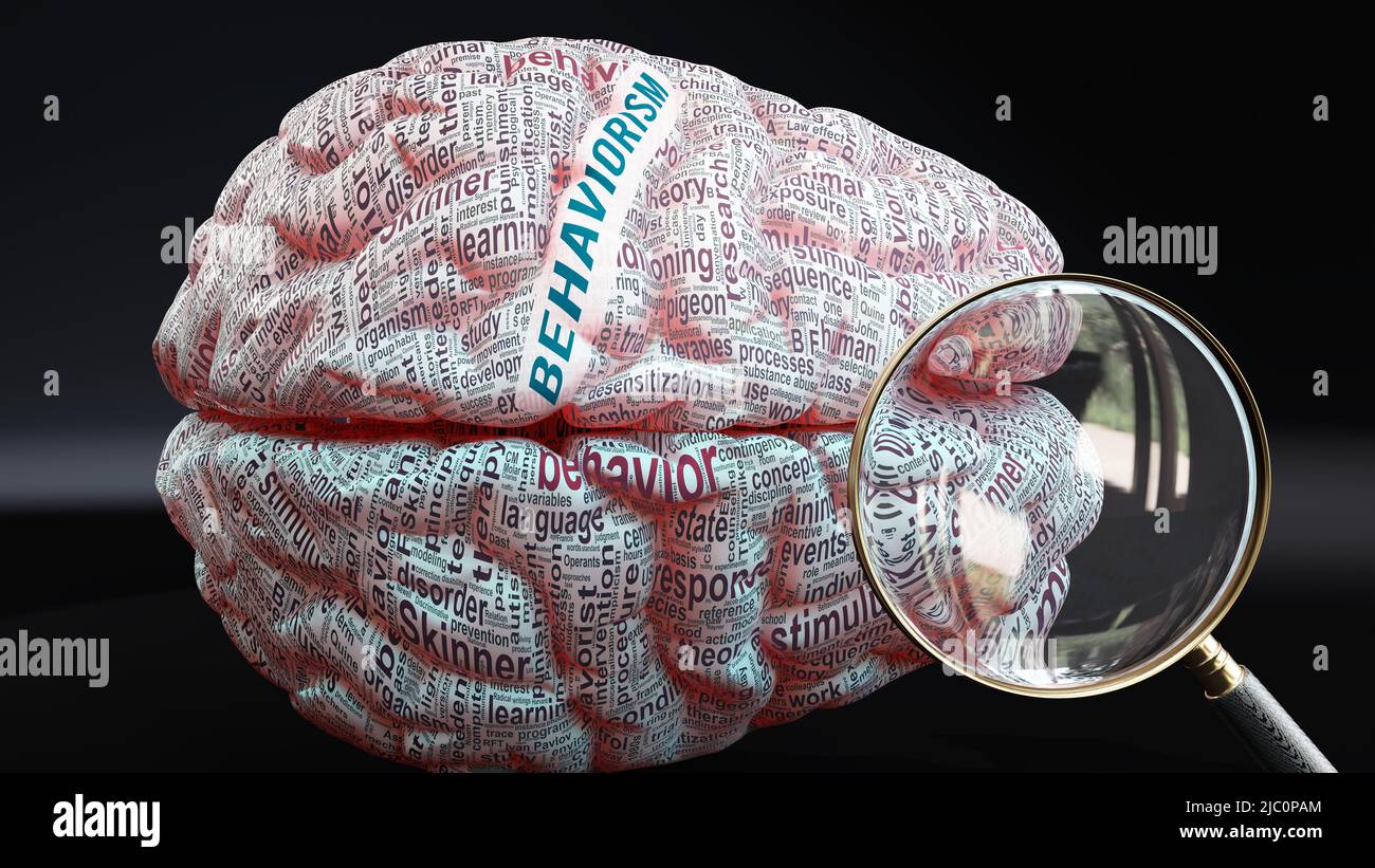 Apprendre le behaviorisme Banque de photographies et d’images à haute résolution - Alamy