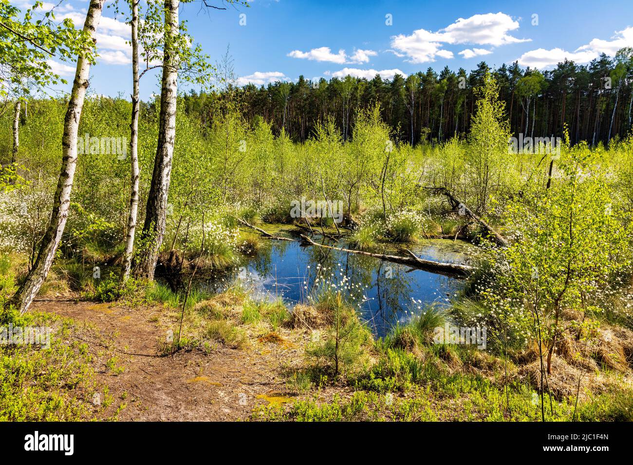 Plaine inondable des zones humides Banque de photographies et d’images ...