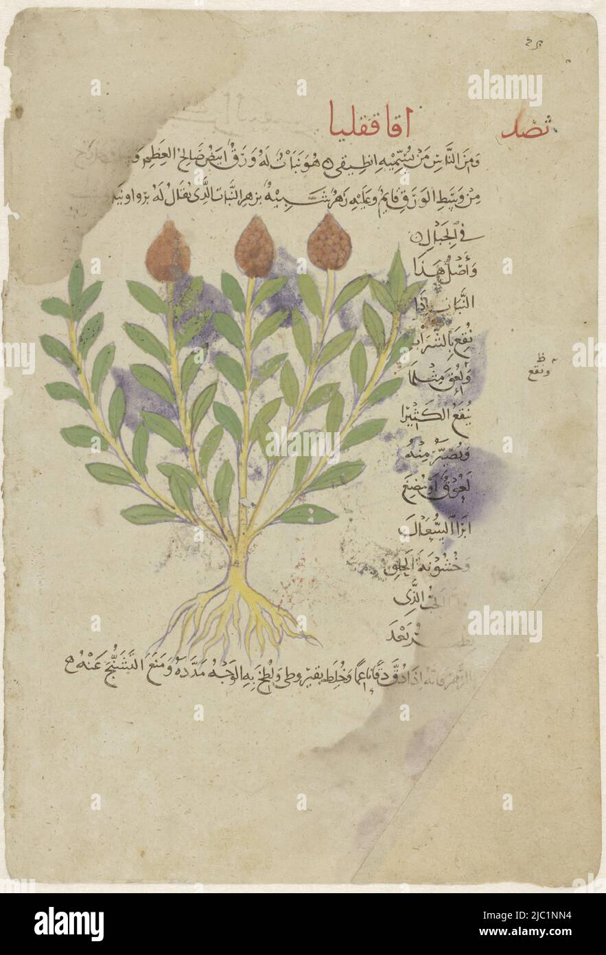 Texte persan Banque de photographies et d’images à haute résolution - Alamy