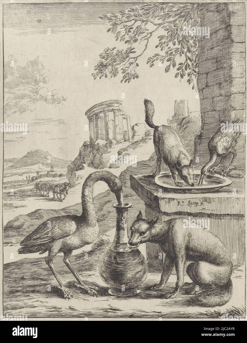 Le renard invite Banque de photographies et d’images à haute résolution ...