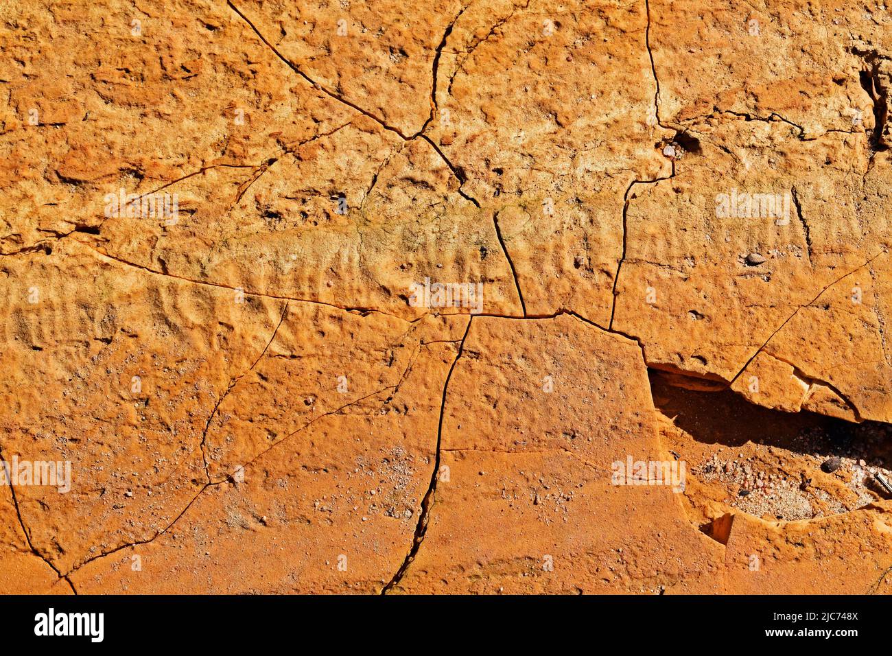Détails de la surface du sol sec et fissuré Photo Stock - Alamy