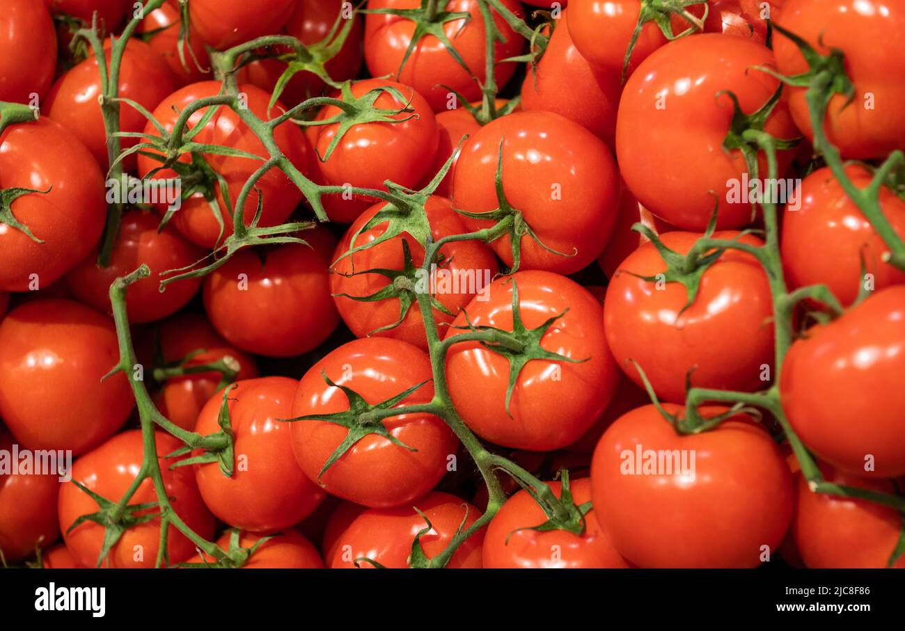 10 juin 2022, Bade-Wurtemberg, Rottweil: Les tomates sont en vente dans ...