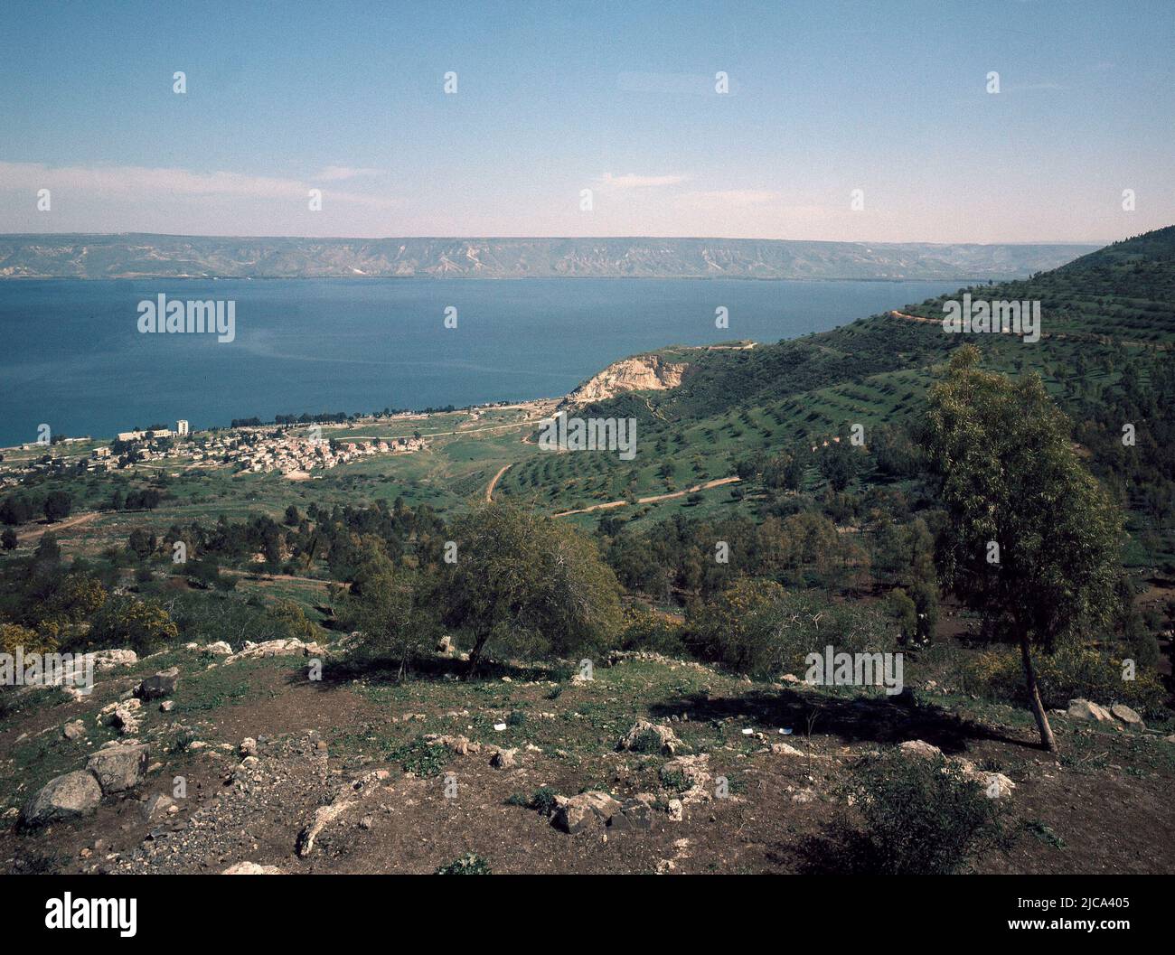 PANORAMICA CON LA CIUDAD EN PRIMAIRE TERMINO - FOTO AÑOS 60. LIEU: LAGO ...
